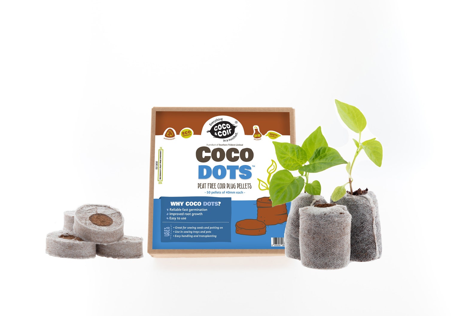 Coco & Coir Peat Free Seeding Pellets Coconut Coir for - Etsy UK