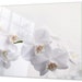 Contemporary Glass Kitchen Panel - Wide Format Wall Backsplash Textures ...
