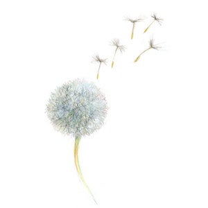 Dandelion in the Wind, Condolence Card - Etsy UK