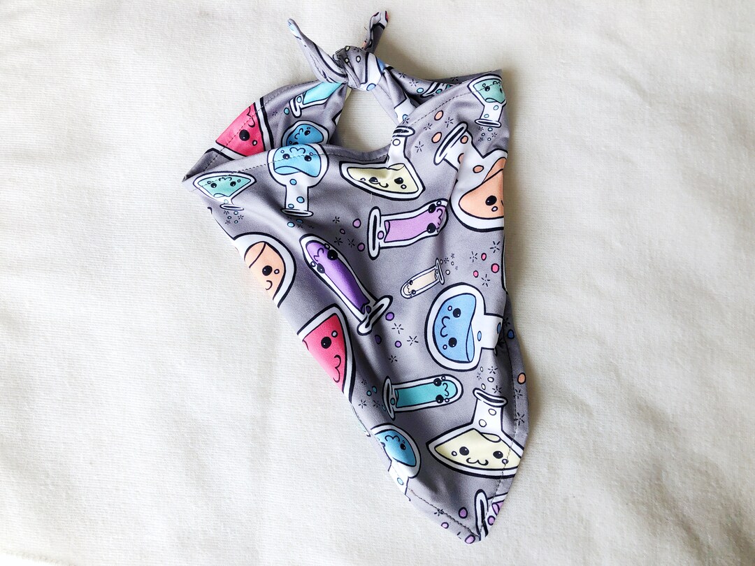 Science Beaker Pet Bandana - Etsy