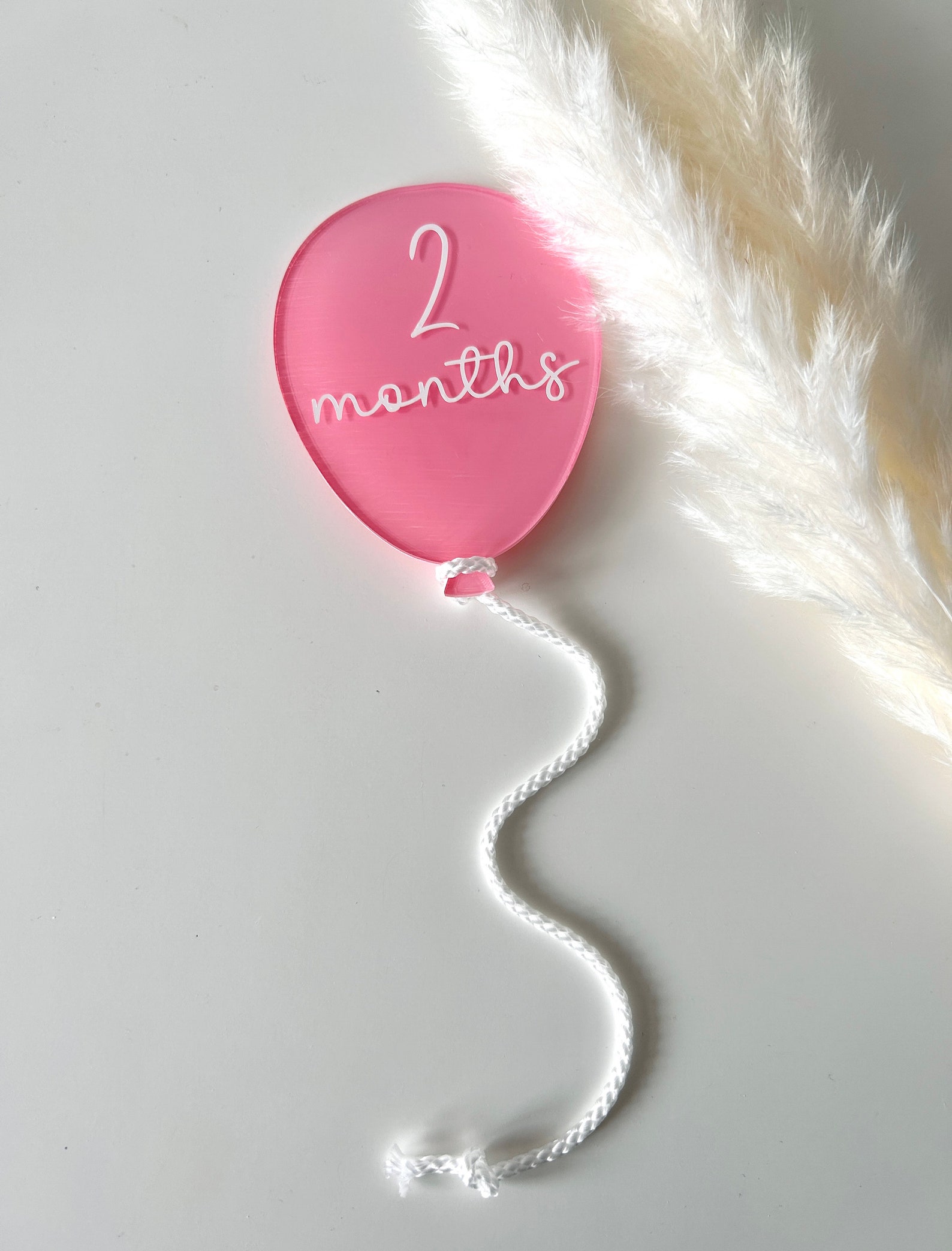 Balloon Monthly Milestones One Month Old 2 Months Old 12 - Etsy UK