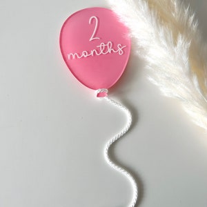 Balloon Monthly Milestones, One Month Old, 2 Months Old, 12 Discs - Etsy UK