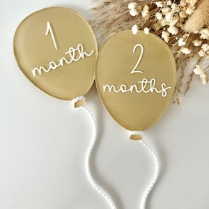 Balloon Monthly Milestones, One Month Old, 2 Months Old, 12 Discs - Etsy UK