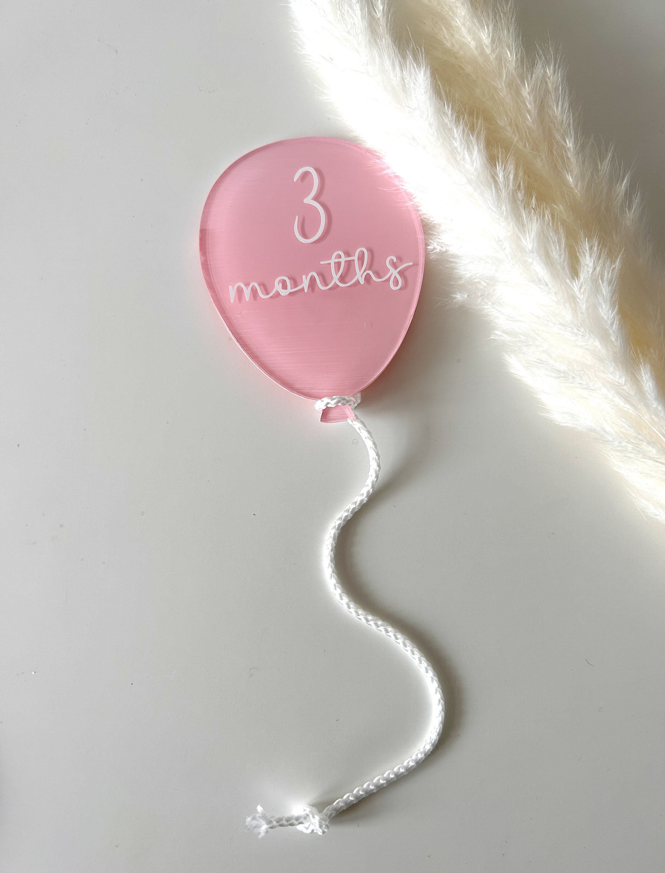 Balloon Monthly Milestones One Month Old 2 Months Old 12 - Etsy UK