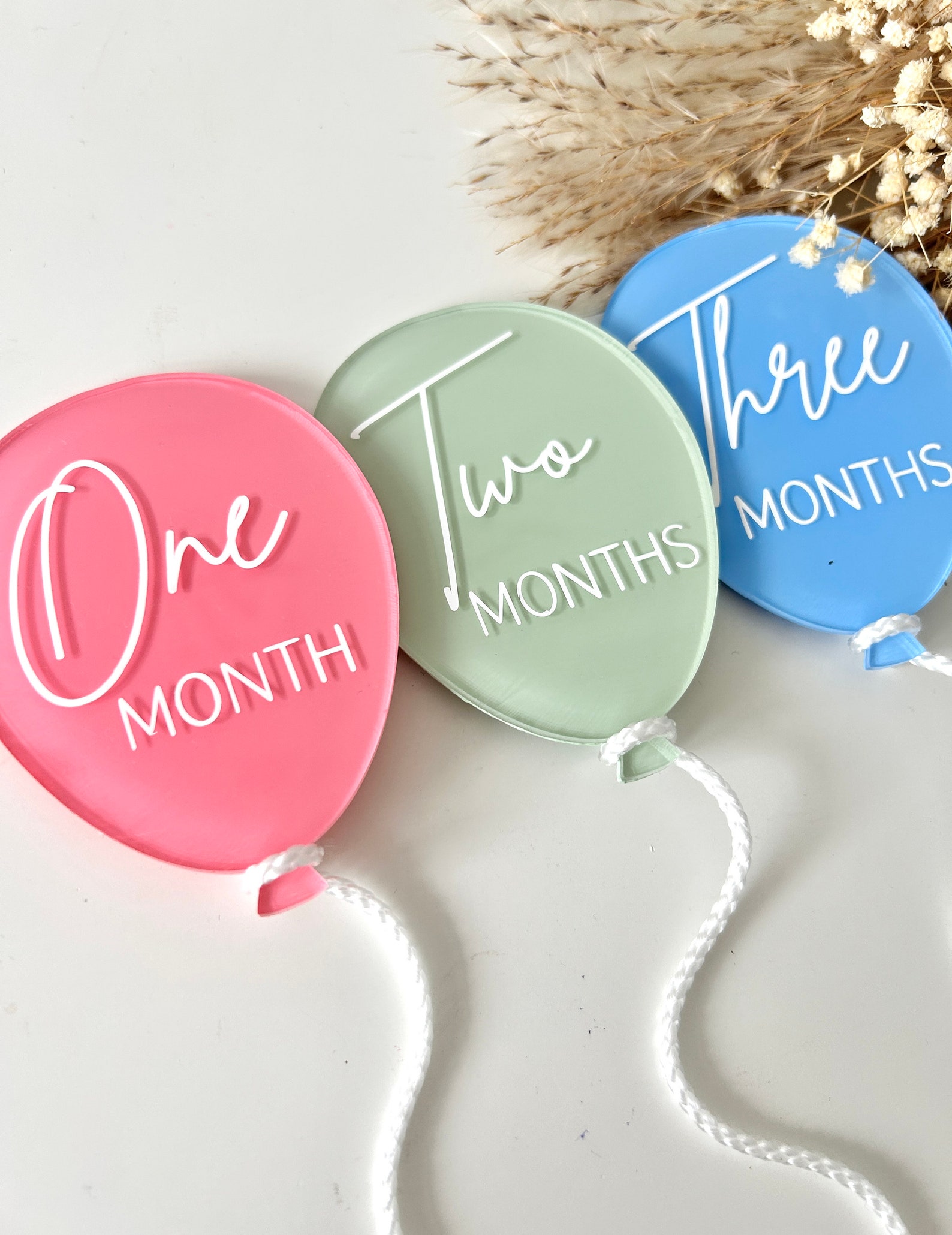 Balloon Monthly Milestones, One Month Old, Two Months Old, 12 Discs ...