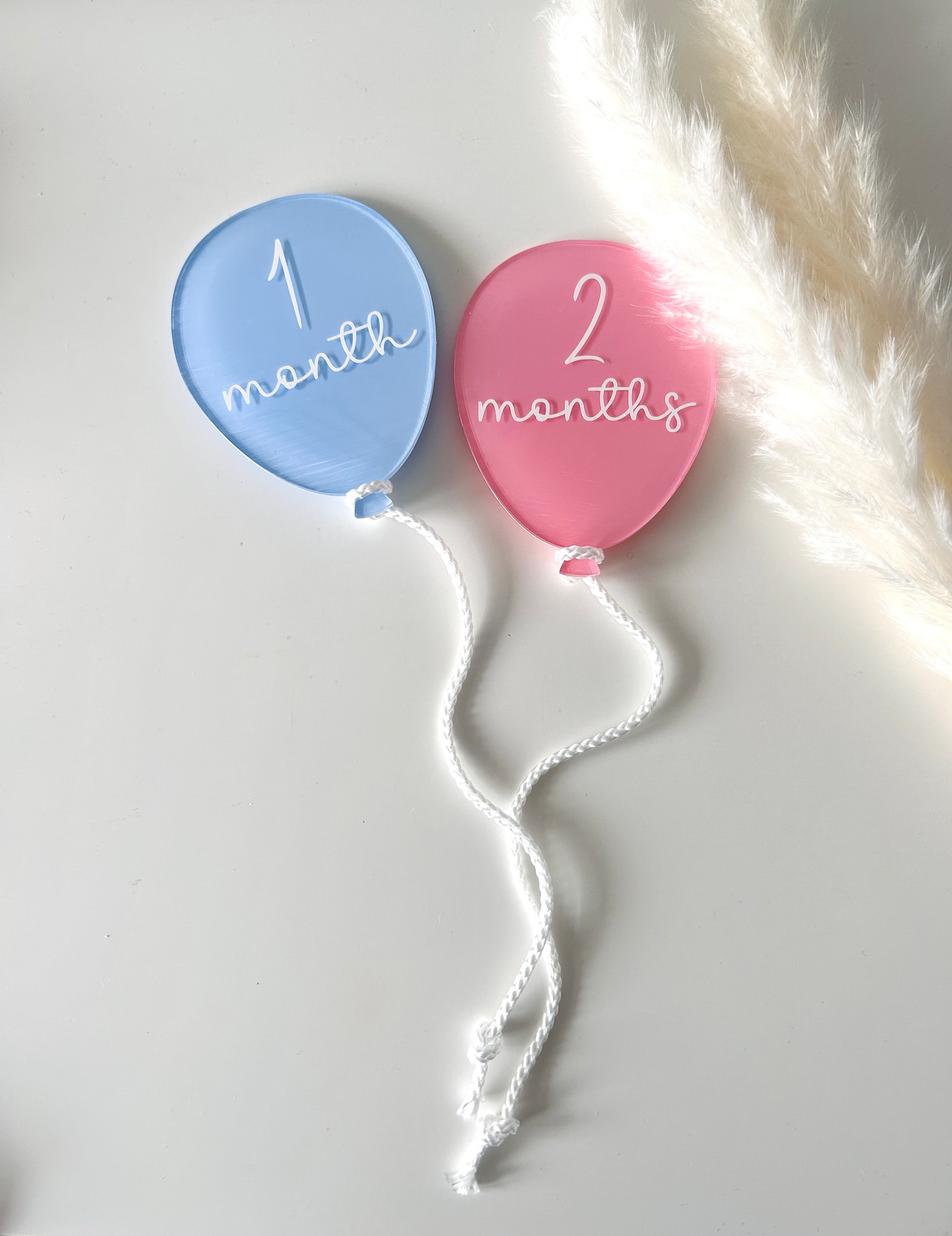 Balloon Monthly Milestones One Month Old 2 Months Old 12 - Etsy UK