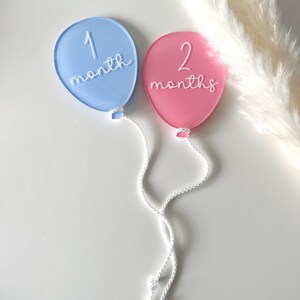 Balloon Monthly Milestones, One Month Old, 2 Months Old, 12 Discs - Etsy UK