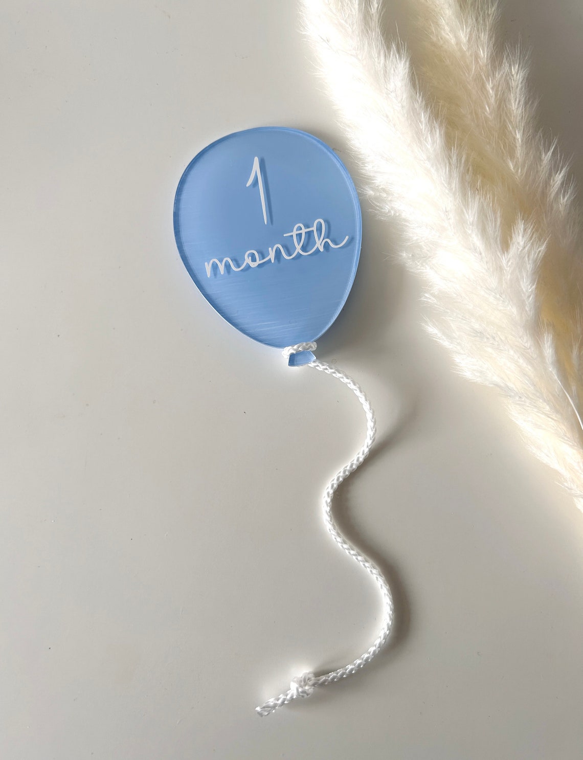 Balloon Monthly Milestones One Month Old 2 Months Old 12 - Etsy UK