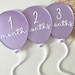 Balloon Monthly Milestones, One Month Old, 2 Months Old, 12 Discs - Etsy UK