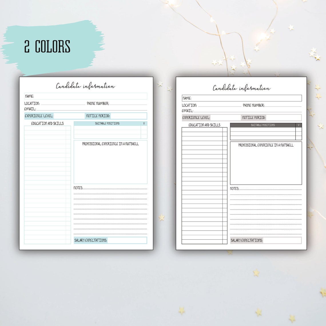Candidate Record Sheet for Recruiters, Candidates Information Log ...