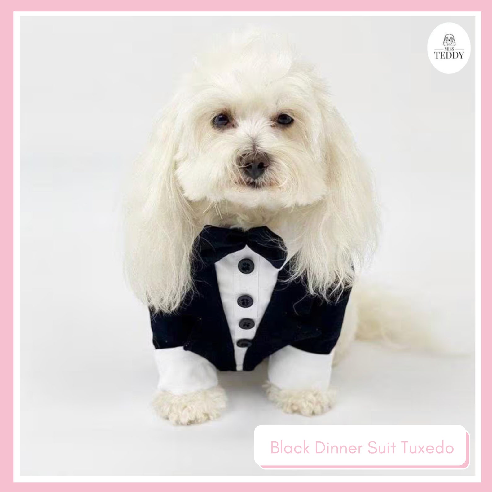 Custom Made Dog Tuxedo in Mustard Yellow | Small Springtime Dog ...