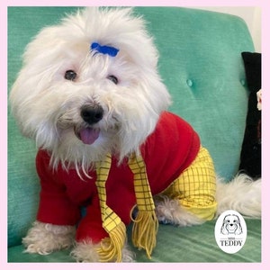 Rupert the Bear Dog Outfit Rupert the Bear Gifts Rupert Bear Costume ...