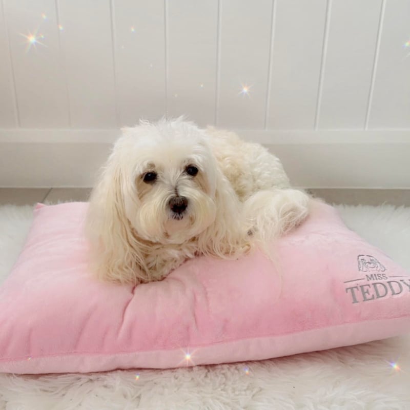 Pink Dog Bed - Etsy