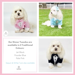 Custom Made Dog Tuxedo in Mustard Yellow | Small Springtime Dog ...