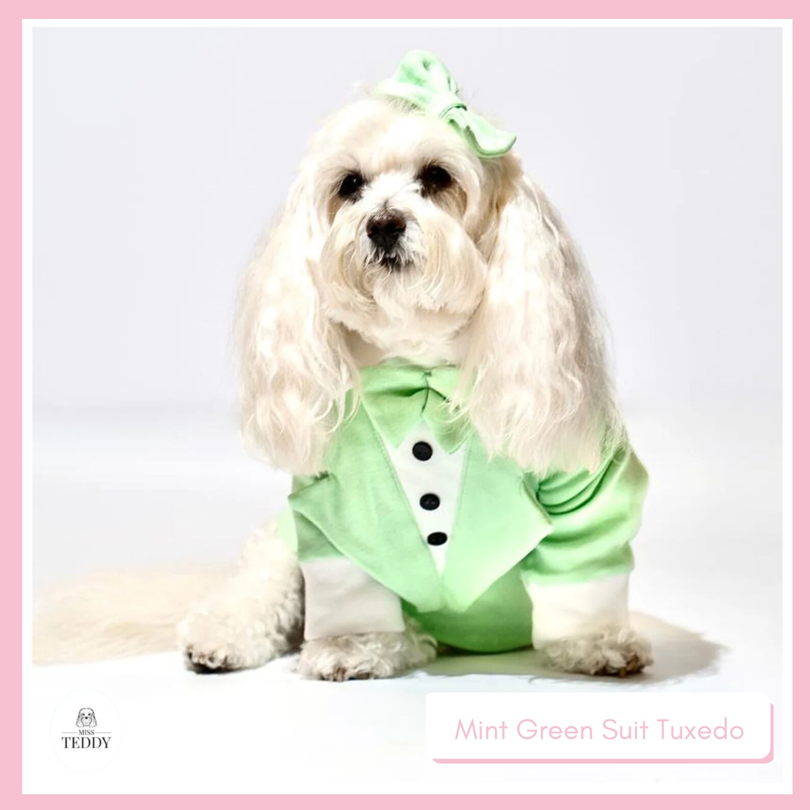 Custom Made Dog Tuxedo in Mustard Yellow | Small Springtime Dog ...