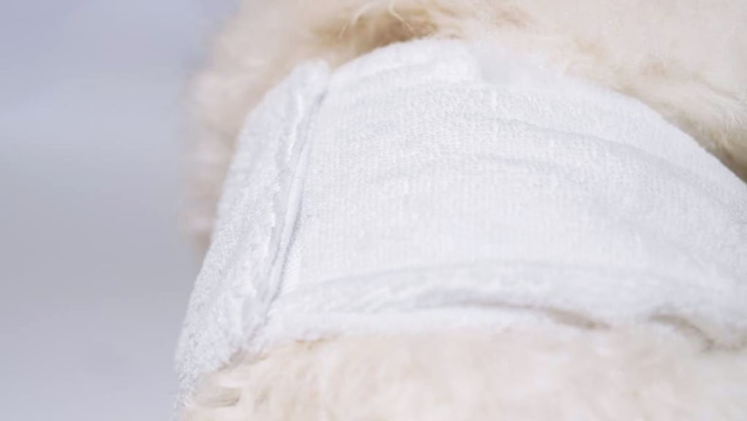 Male Dog Belly Bands | Reusable Pee Band Wraps | Puppy Toilet Training ...