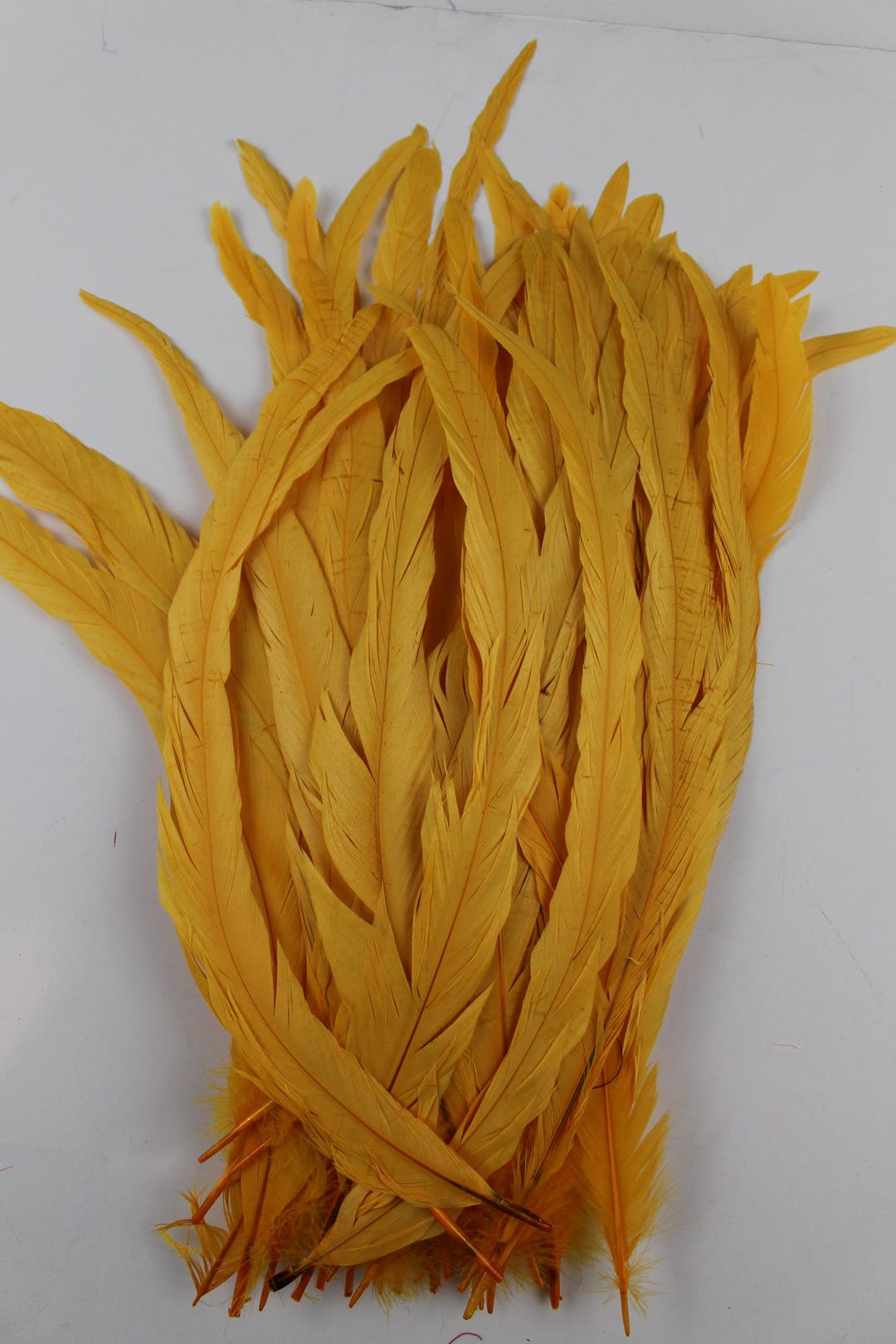 Gold Yellow Rooster Coque Tail Feathers: 12-14 Inch Crafting Supplies ...