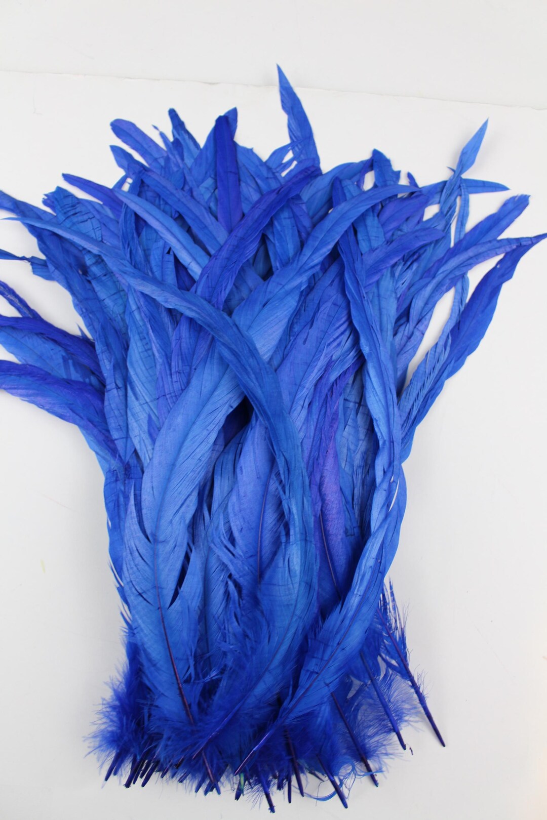Royal Blue Rooster Coque Tail Feathers: DIY Crafting Supplies - Etsy