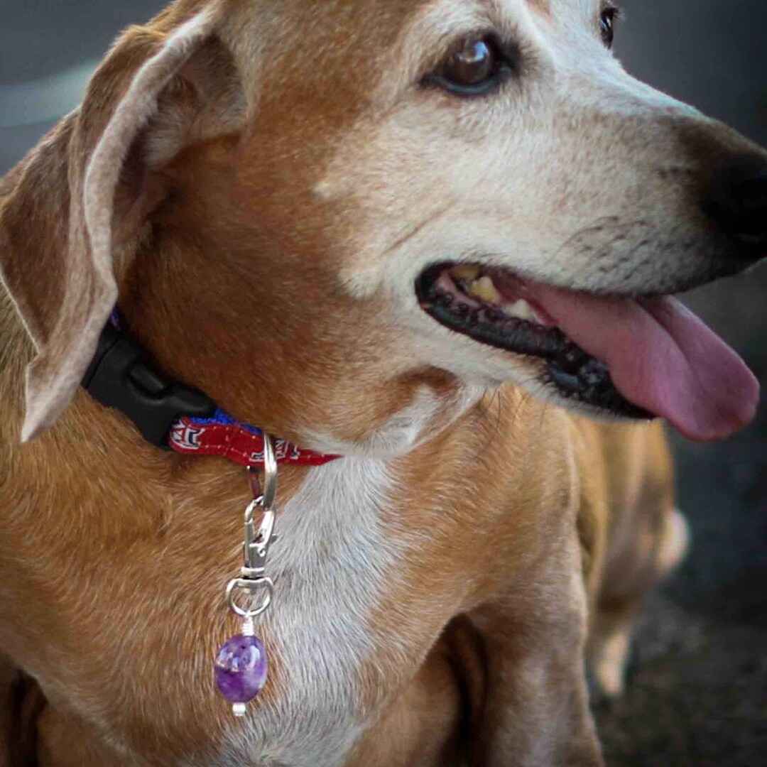 Amethyst Crystal Pet Collar Charm, Healing Stone Dog Charm, Genuine ...