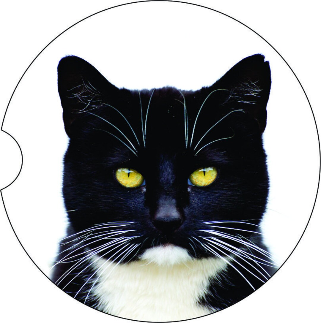 2 Absorbent Car Coasters of Cat 2. Car Accessories for Her, Abstract ...
