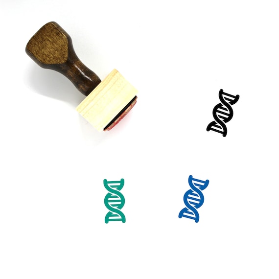 DNA Wooden Rubber Stamp - Etsy