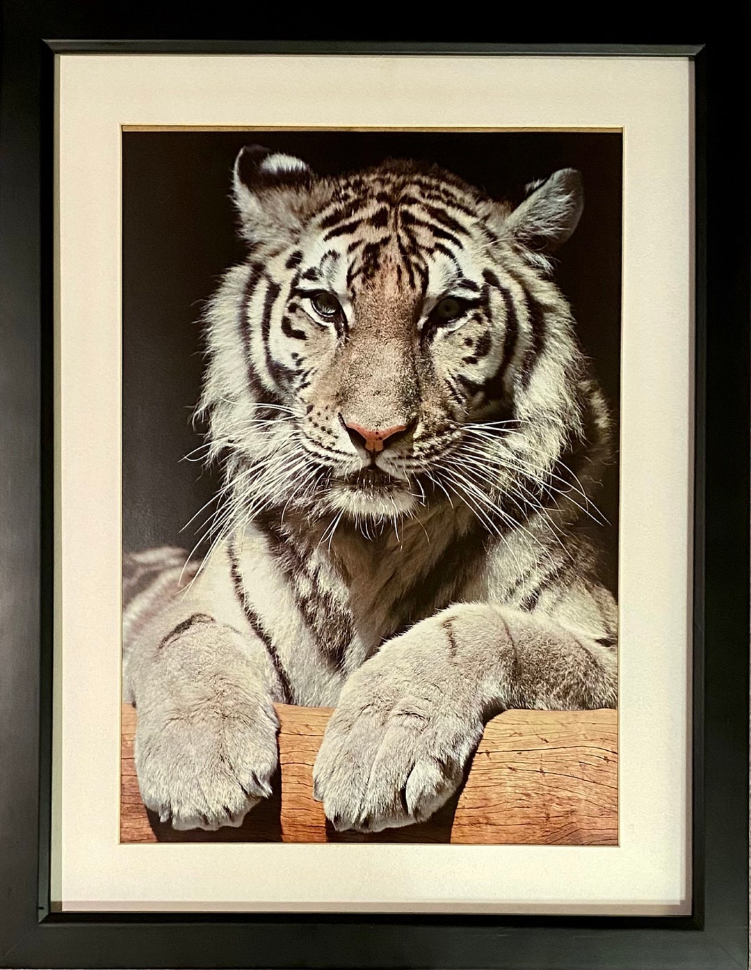 Siberian Tiger Wildlife - Large Framed Photo of a "siberian Tiger". - Etsy