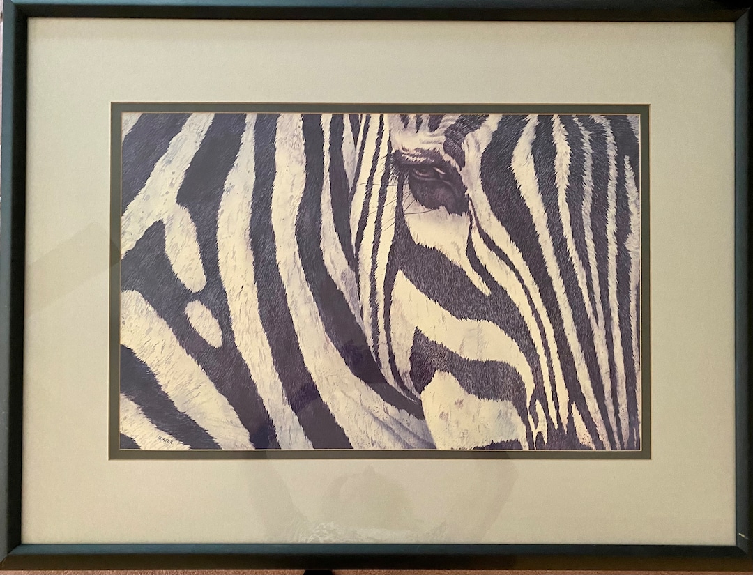 Zebra Wildlife - Modernistic "zebra Head and Eye" Framed Wall Hanging ...