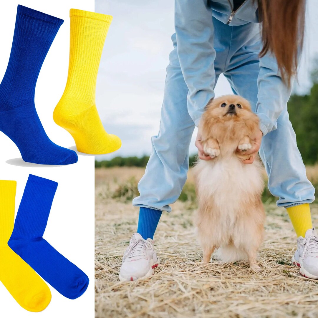 Ukraine Blue and Yellow Flag Solid Colors Mismatched Socks Made in ...