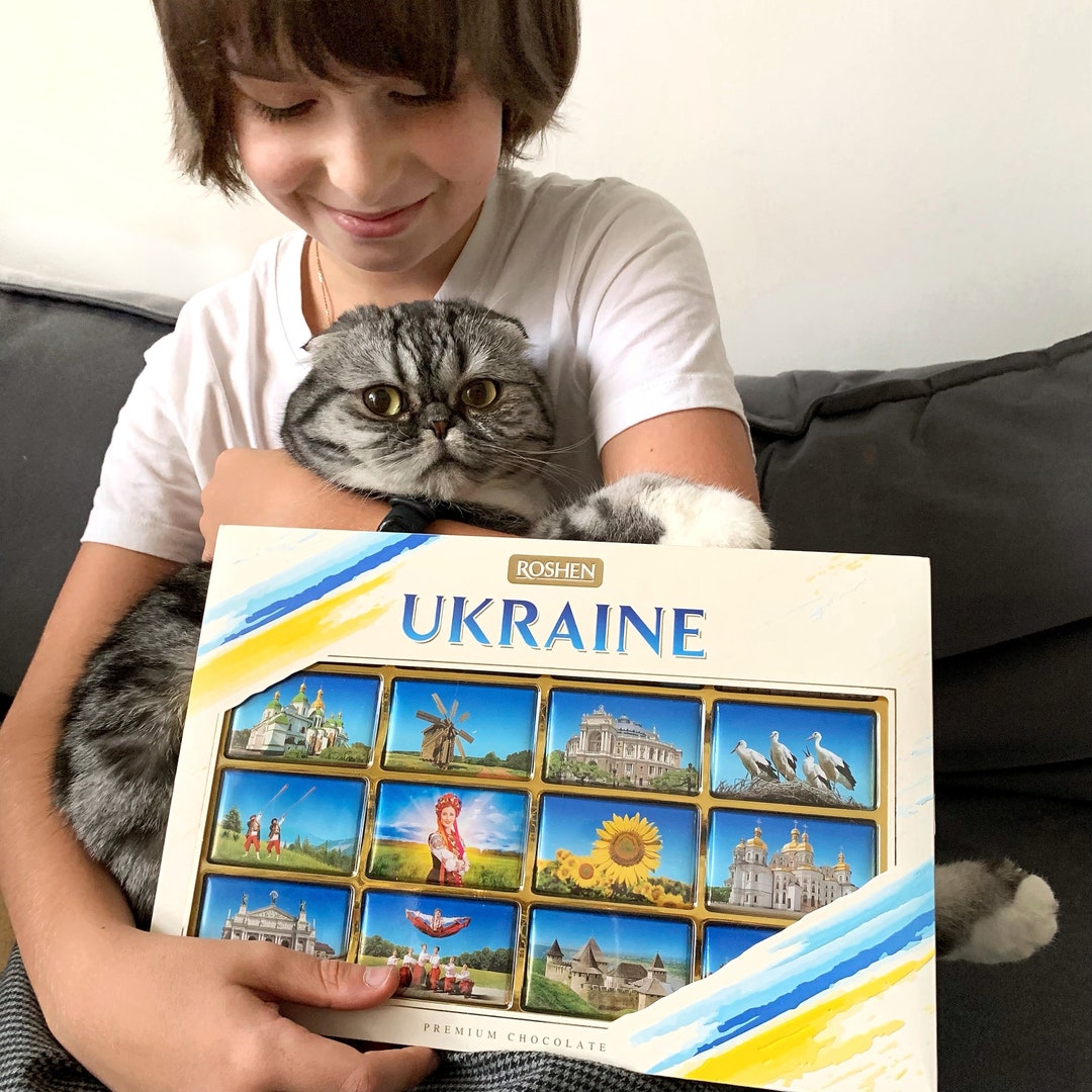 Ukrainian Sweets Roshen Chocolate Candy Food Box | Gifts From Ukraine ...