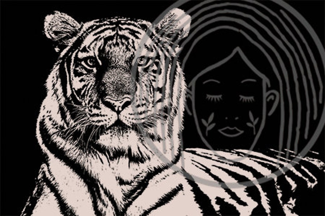 Vector Clipart of a Tiger on Transparent Background, Digital Download ...