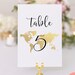 Travel Theme Table Numbers World Map Table Numbers Travel - Etsy