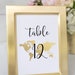 Travel Theme Table Numbers World Map Table Numbers Travel - Etsy