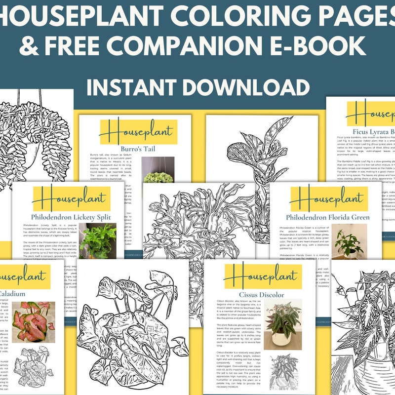 StylePreservation - Etsy