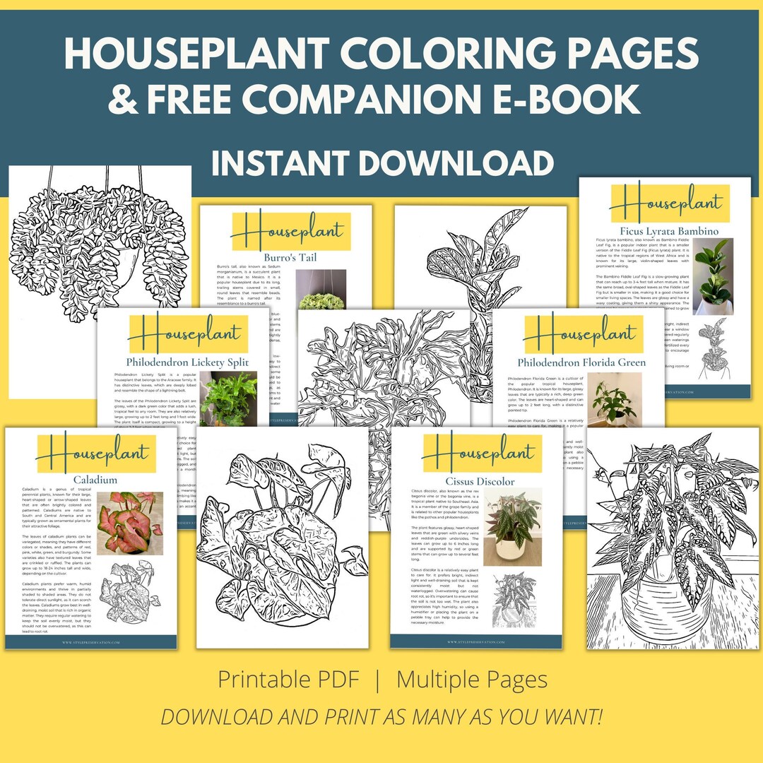 10 Houseplant Coloring Pages, Free Plant E-book Companion, Houseplant ...