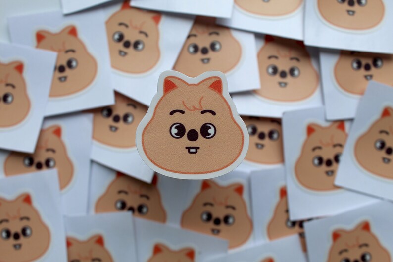 SKZOO Stray Kids Waterproof Vinyl Kpop Sticker - Etsy