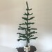 German Goose Feather Christmas Tree US Zone Germany 1940s Original ...