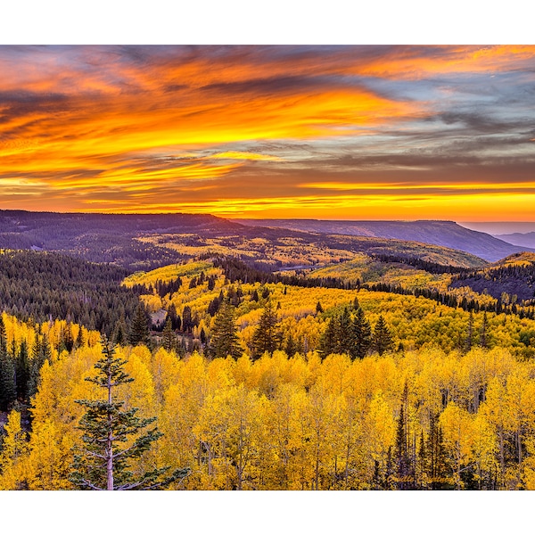 Sunset Photography - Etsy