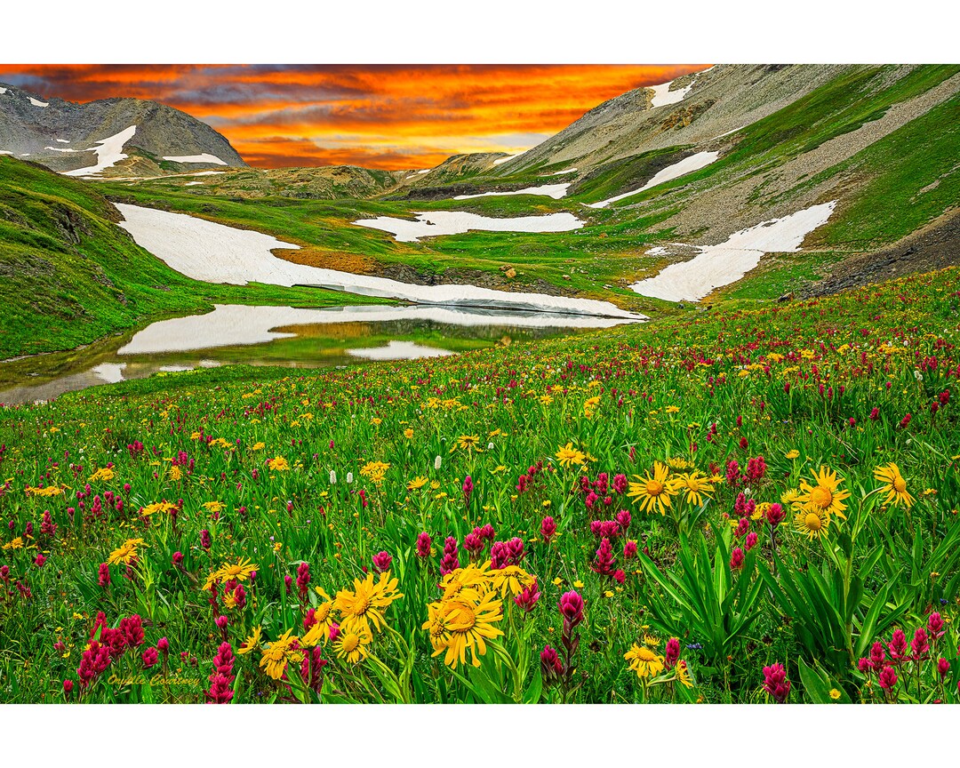 Colorado Mountains Picture Flower Sunset, Landscape Canvas and Metal ...