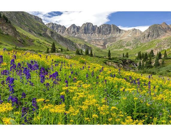 Colorado Summer Landscape
