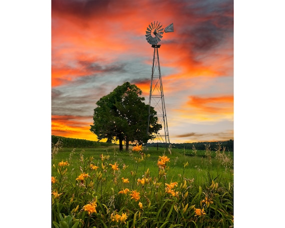 Country Sunsets With Windmills