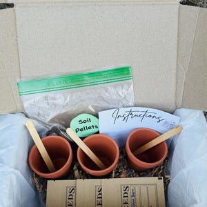 Herb Garden Starter Kit | Basil, Parsley, Chives | Gardening Gift - Etsy