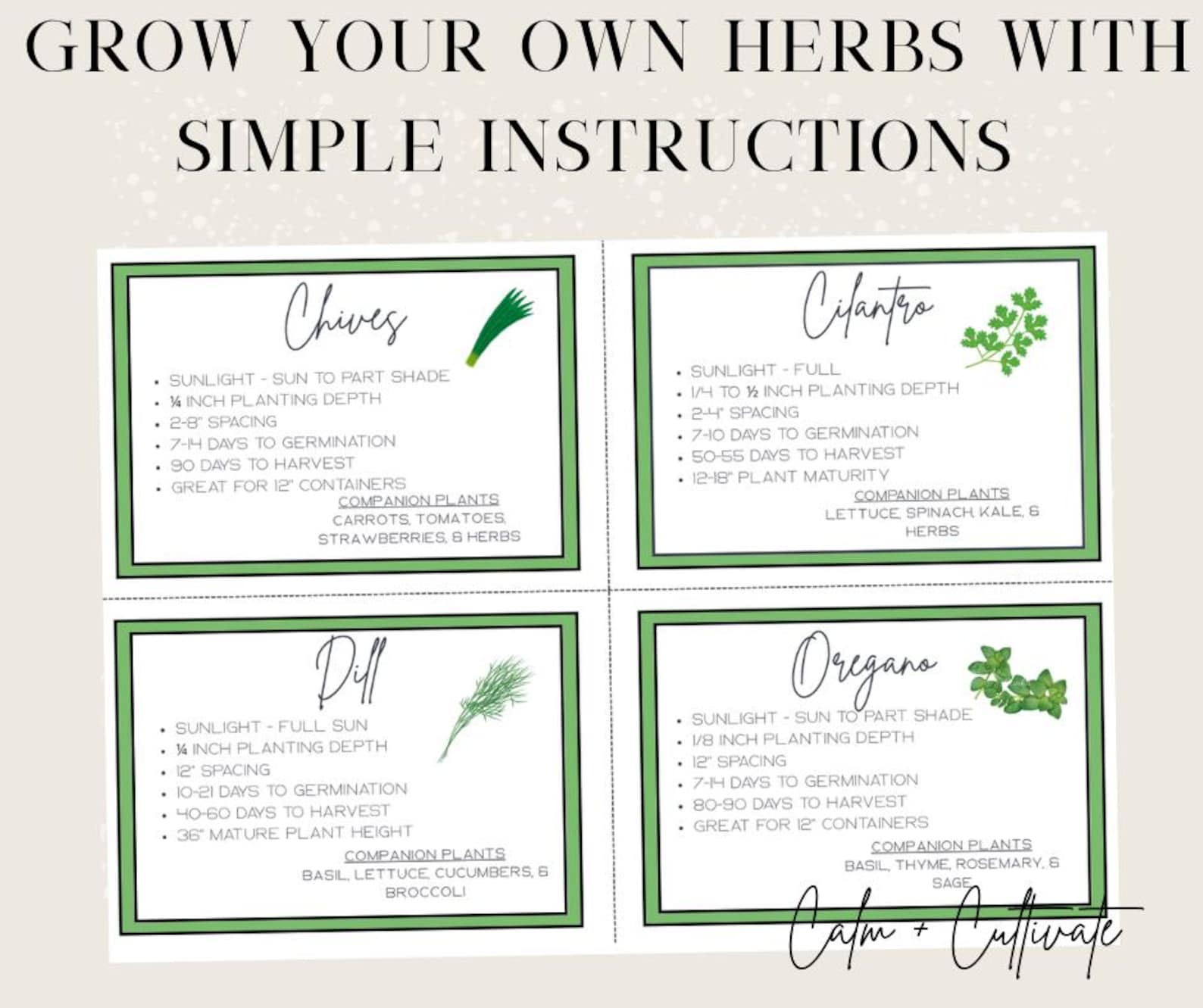 Printable Herb Seed Information Cards | How to Grow Guide for 12 ...