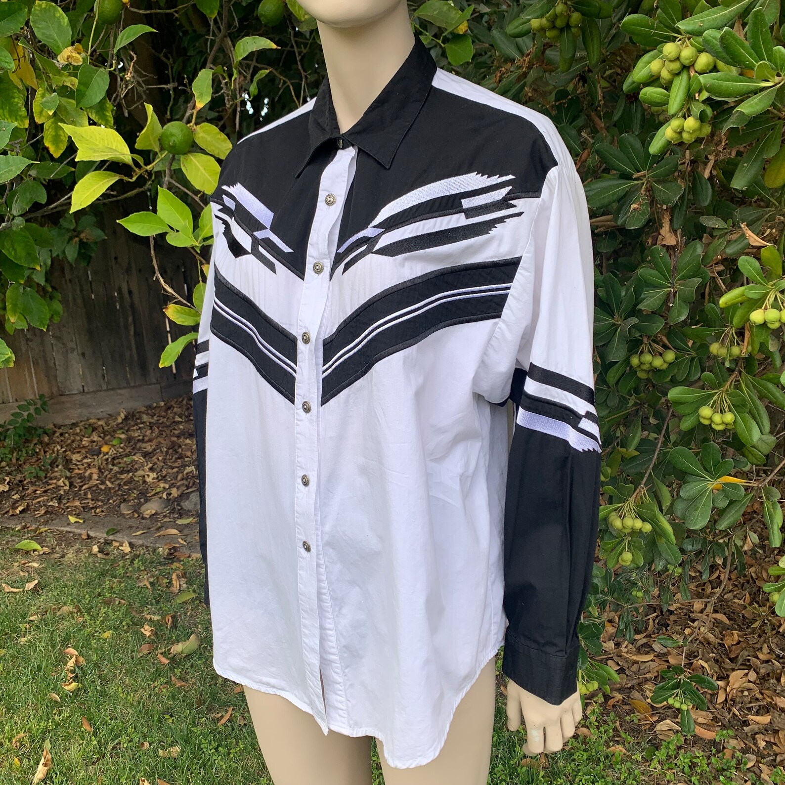 Vintage Panhandle Slim Western Shirt - Etsy