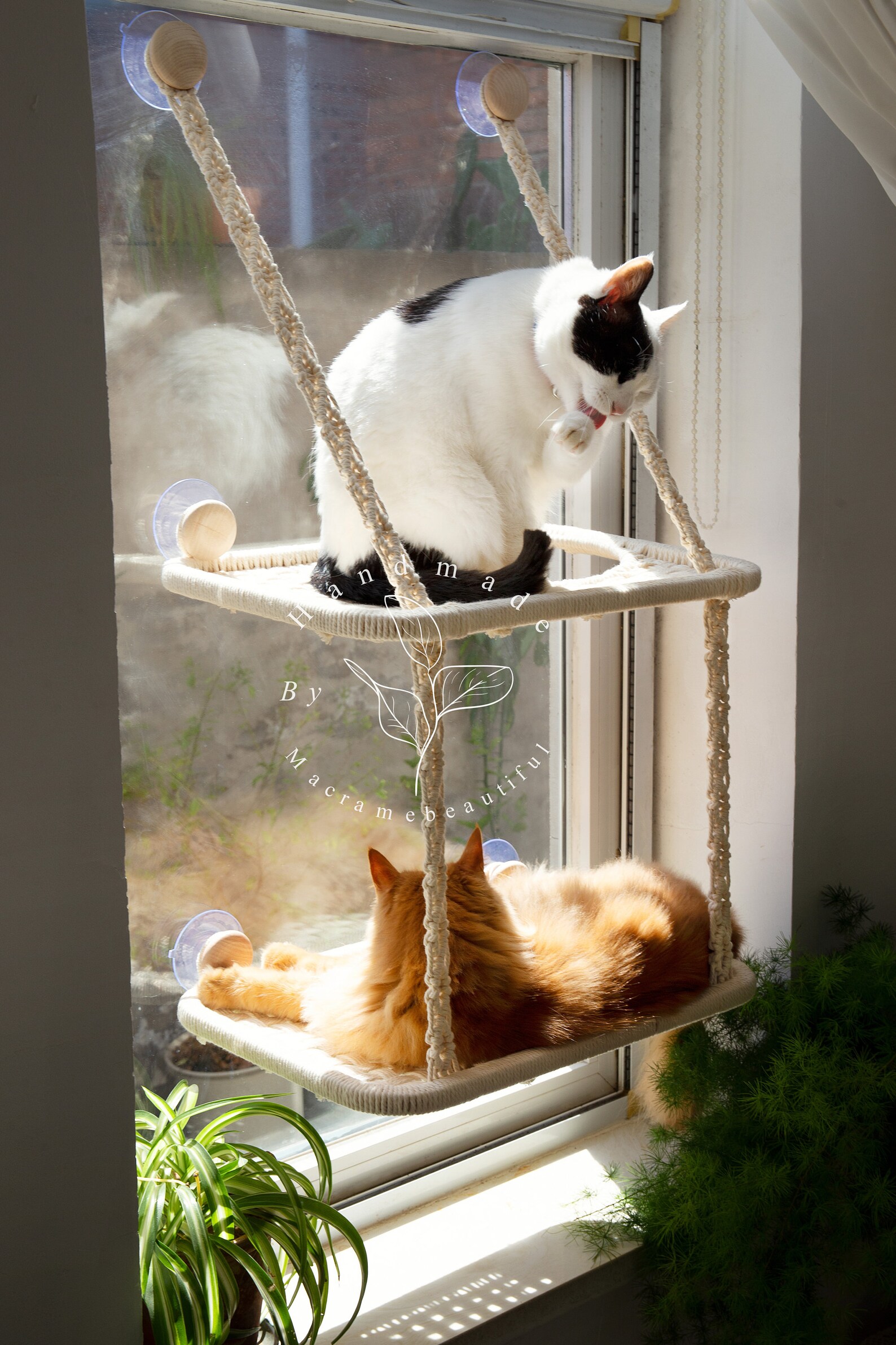 2 Tier Cat Window Perch Cat Window Bed Macrame Cat Hammock Cat Wall ...