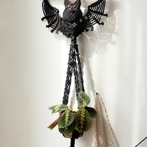 Macrame Bat Plant Hanger Macrame Bat Wall Hanging Dark Academia Gothic ...