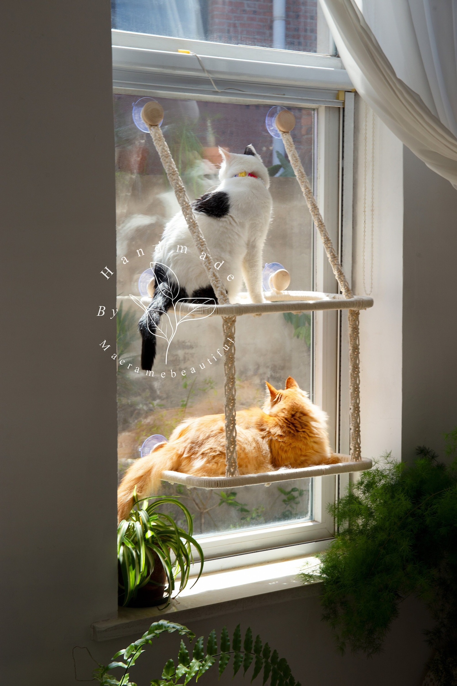 2 Tier Cat Window Perch Cat Window Bed Macrame Cat Hammock Cat Wall ...