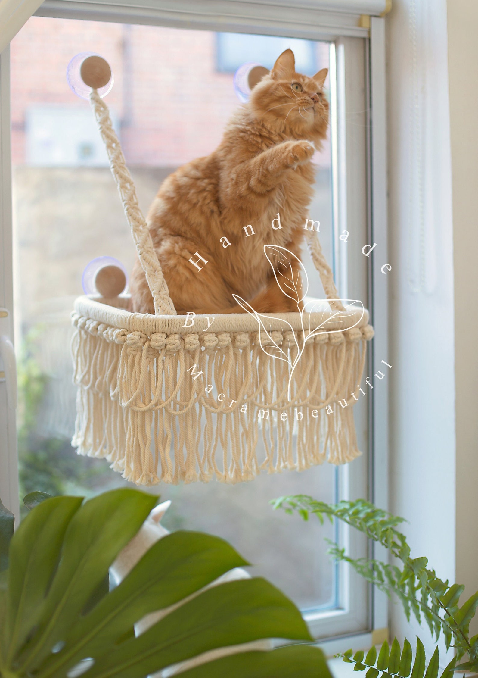 Cat Window Perch Macrame Cat Hammock Window Cat Seat Window - Etsy