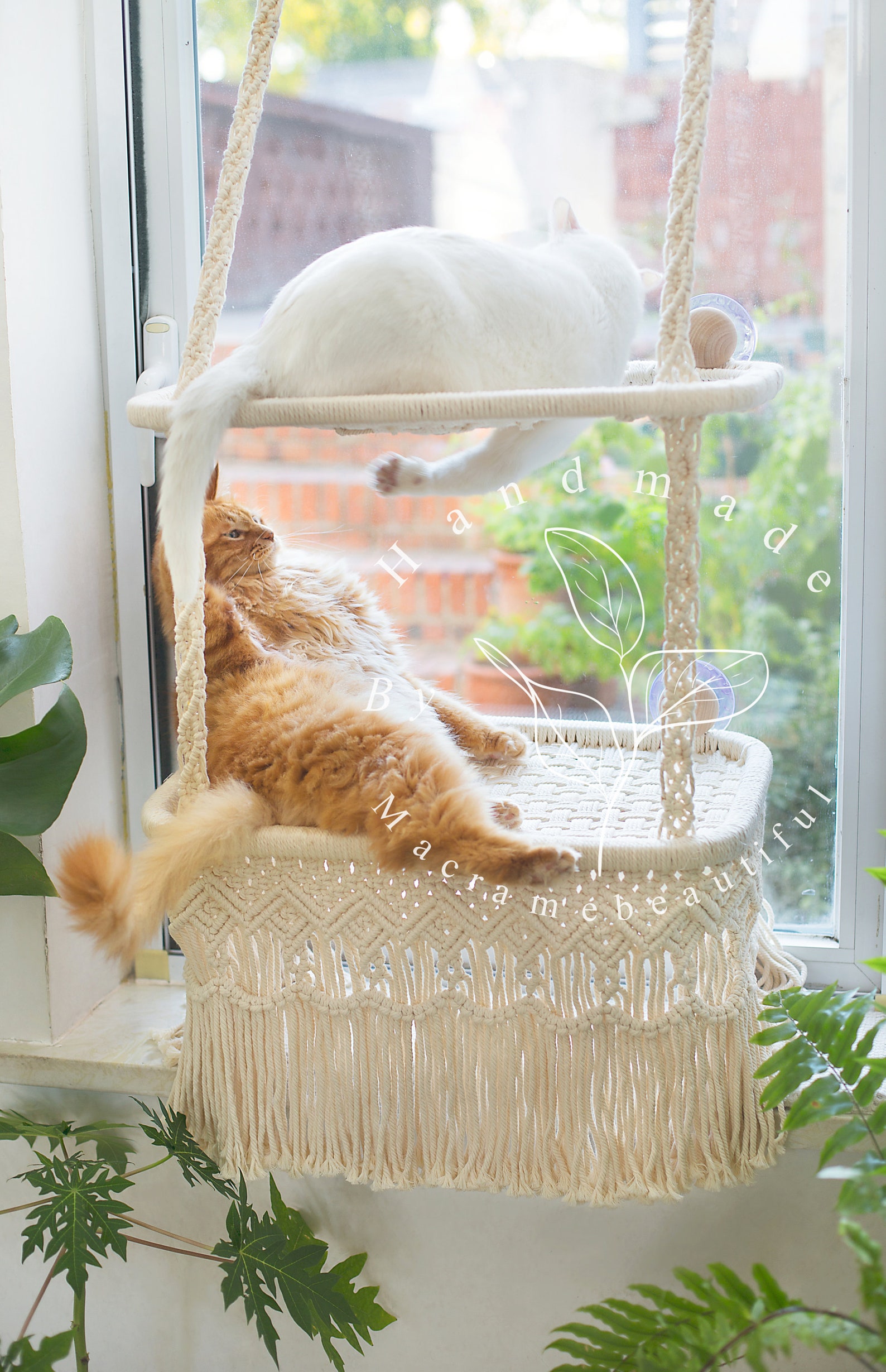 Cat Window Perch Window Cat Seat Macrame Cat Hammock Cat - Etsy