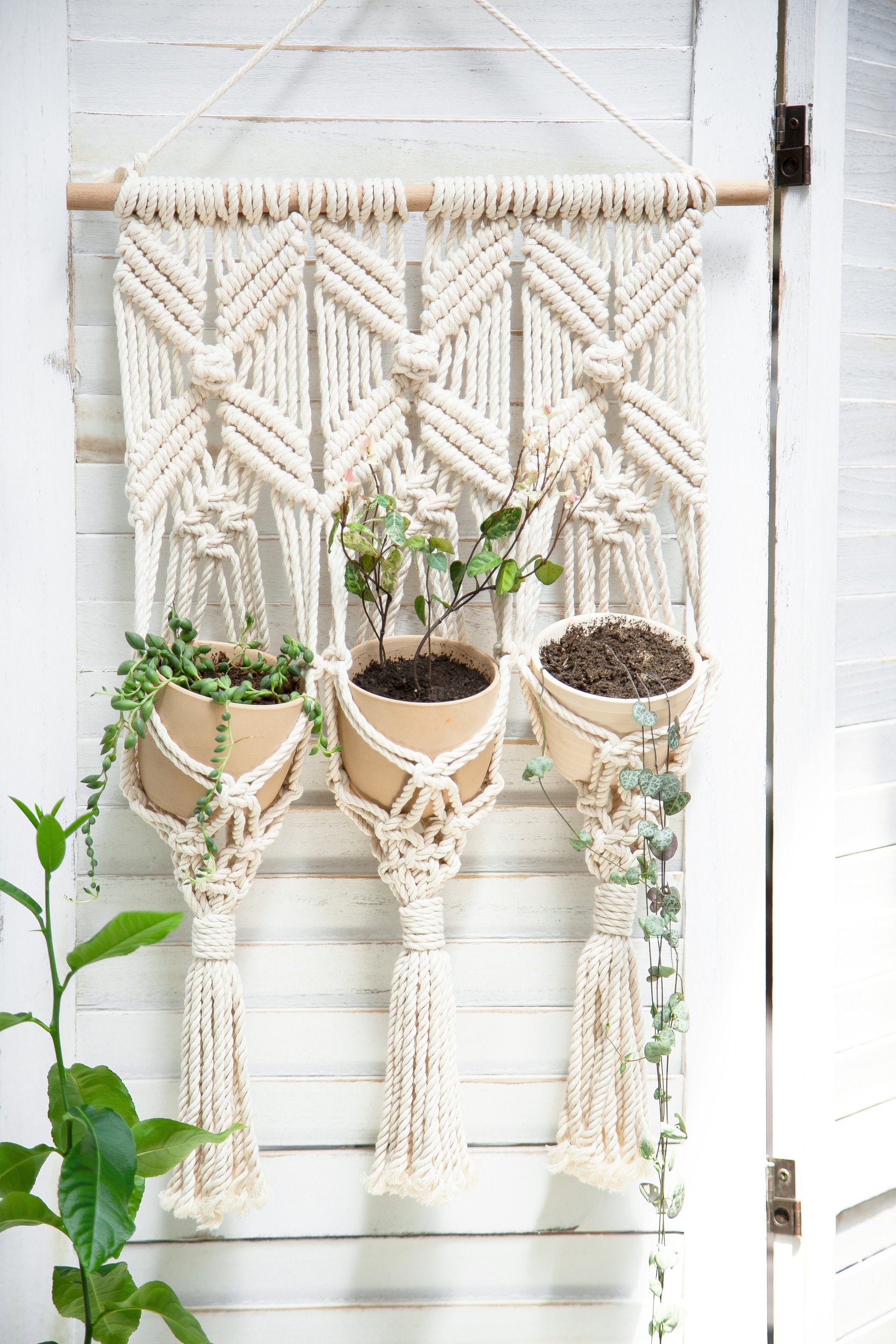 Macrame pared colgante Crochet planta percha interior al aire | Etsy