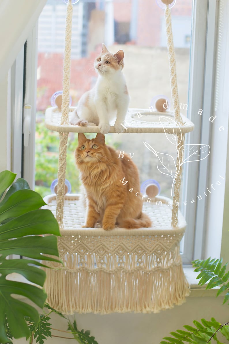 Cat Window Perch Window Cat Seat Macrame Cat Hammock Cat - Etsy